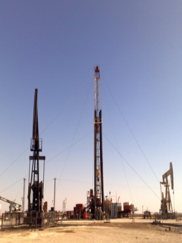 Delta Engineering Co. Ltd.